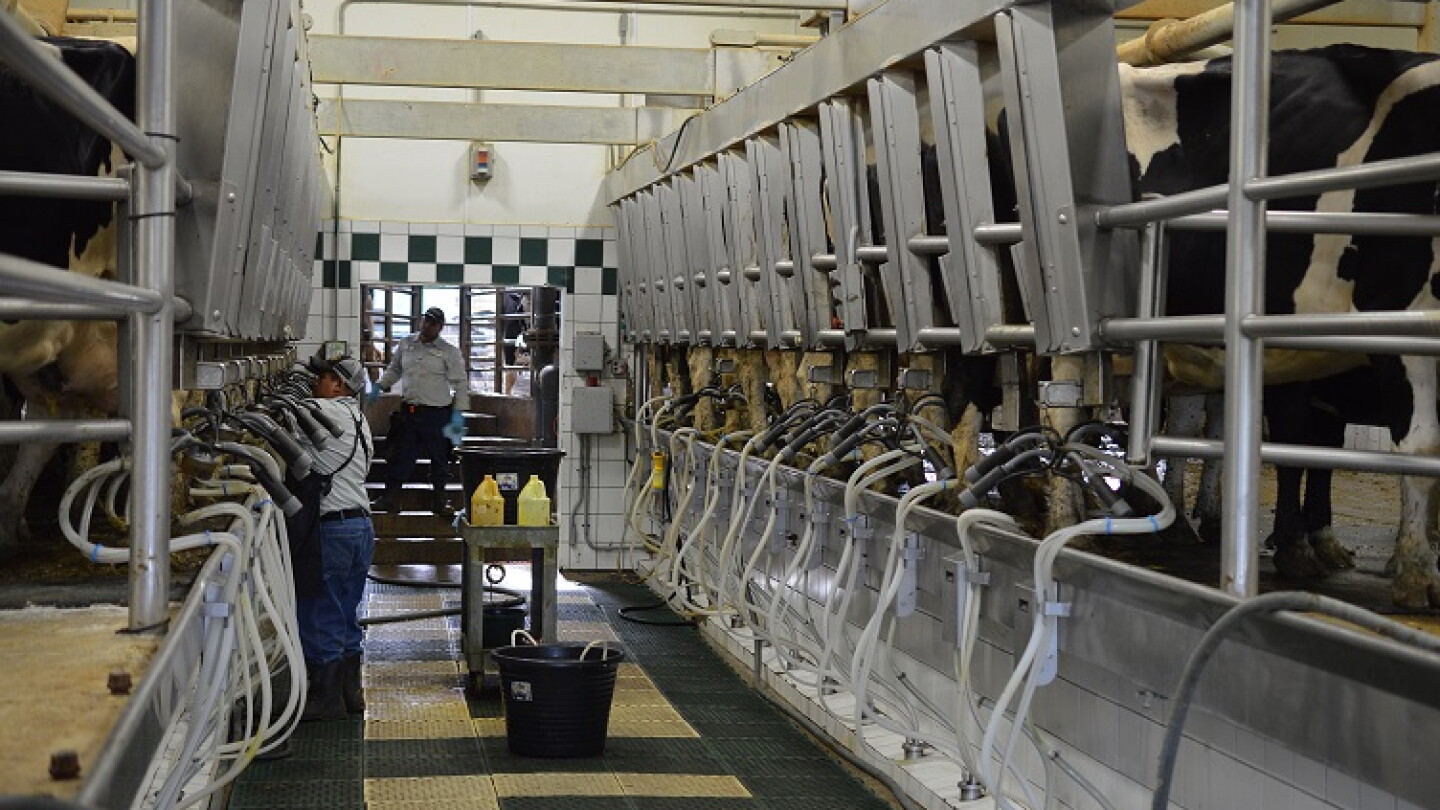 Class III Futures Retreat Despite Strong Cheese - Dairy Herd