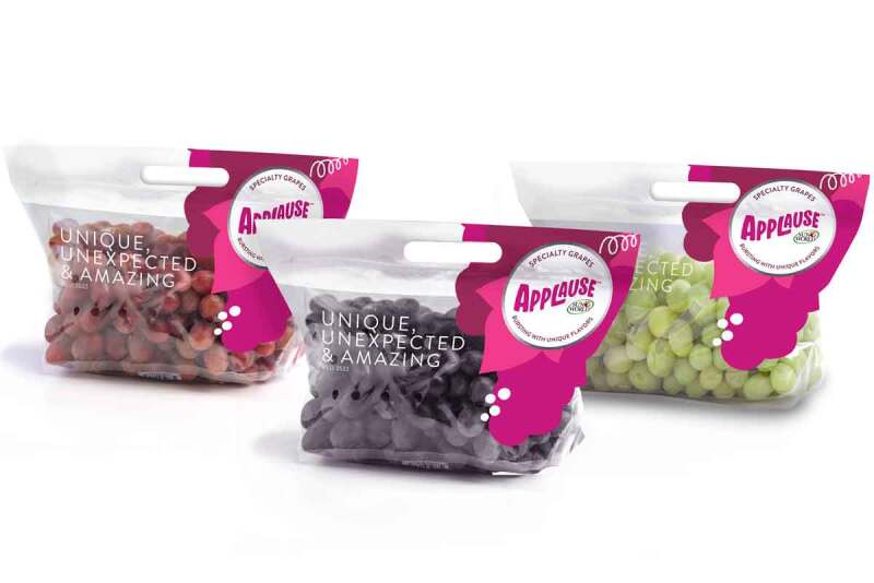 Sun World International adds two new table grape varieties - The Packer