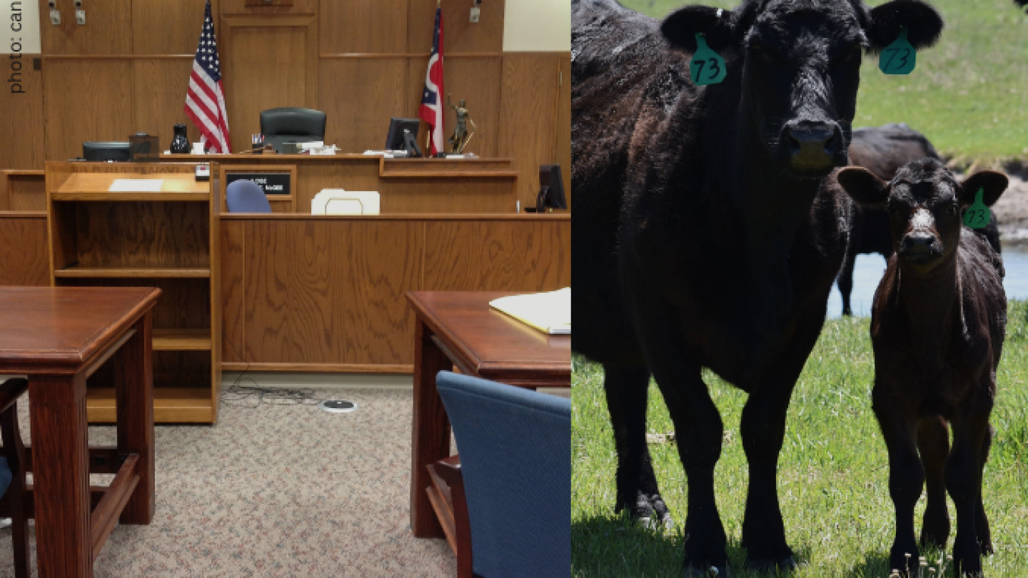Over $2 Billion in Total Losses, Kansas Sale Barn Owner Convicted of Fraud Over $2 Billion in Total Losses, Kansas Sale Barn Owner Convicted of Fraud
