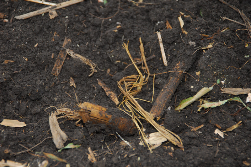 New Biological Supports Soil Health, Improves Crop Residue Breakdown ...