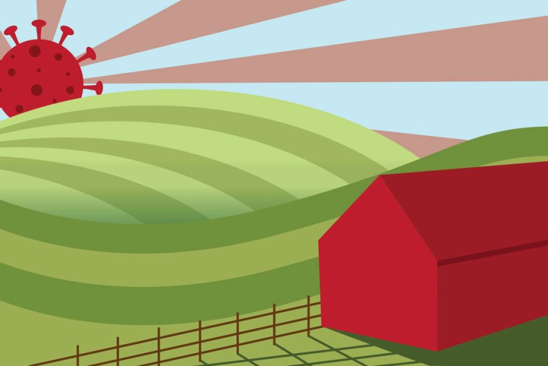 Paul Neiffer: Your Options for PPP Forgiveness - The Scoop - Ag Retail ...