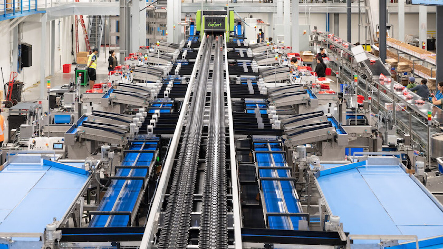 Stemilt upgrades packing line capabilities - The Packer