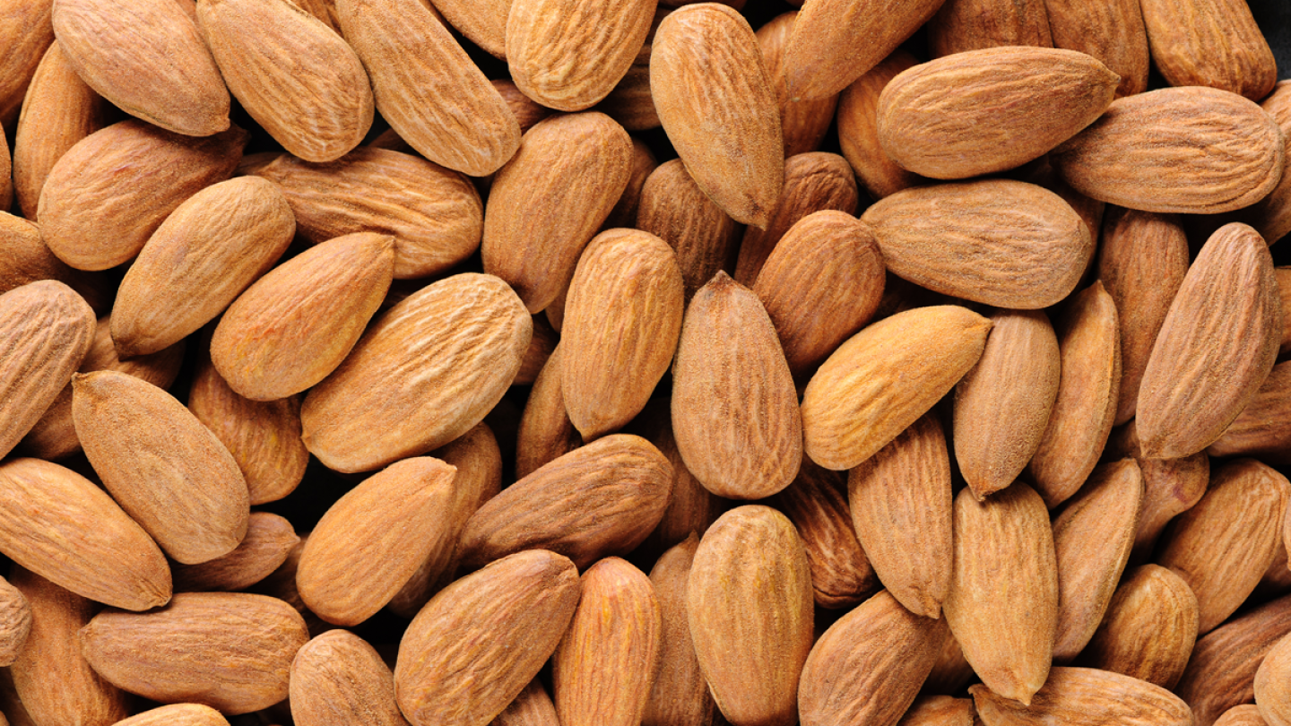 Rabobank Projects Almond Price Increase in Five-Year Report - The Packer