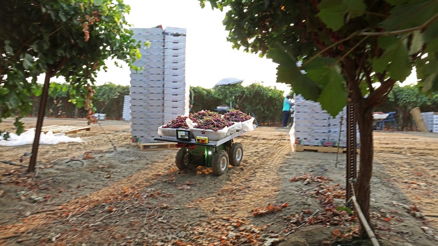 Burro raises $10.9 million Series A to accelerate commercialization of ...