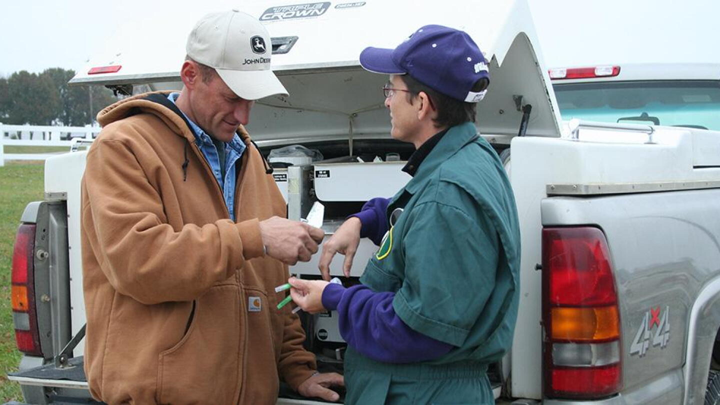 FDA Issues Veterinary Feed Directive Clarification - Bovine Vet