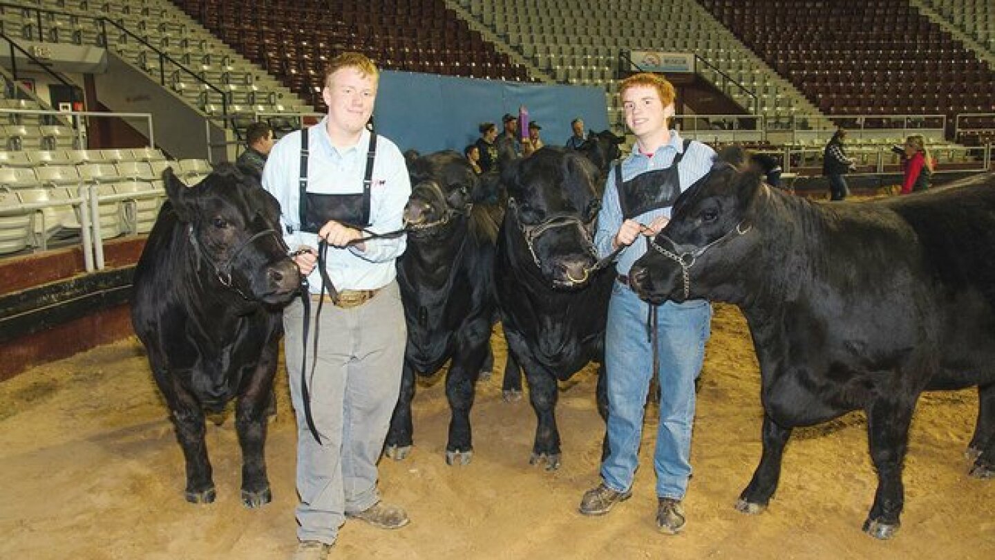 Teen Fights Health Issues to Show Cattle with Brother