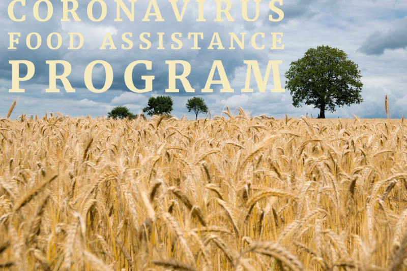 USDA Announces CFAP Changes, with Additional Payments Starting in April ...