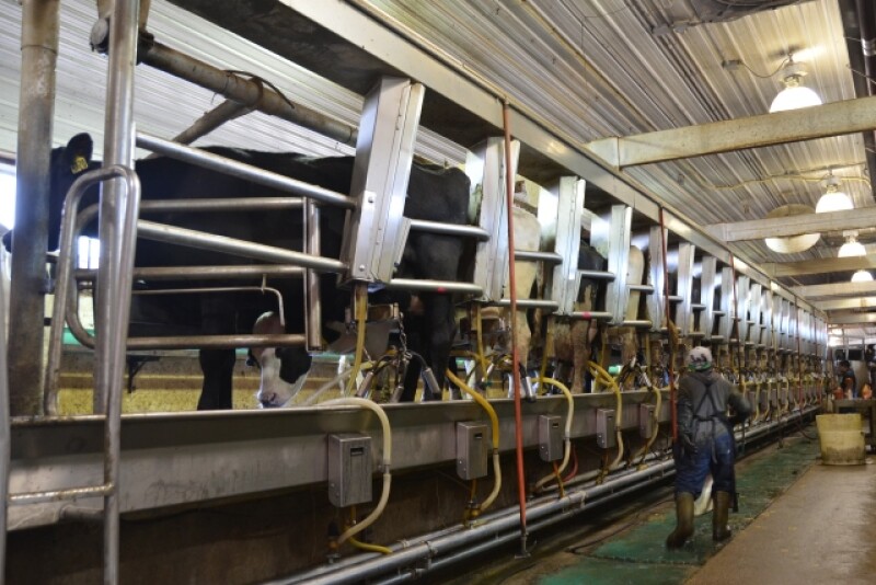 Concerns, Procedures of New Dairy Revenue Protection Plan - Dairy Herd ...
