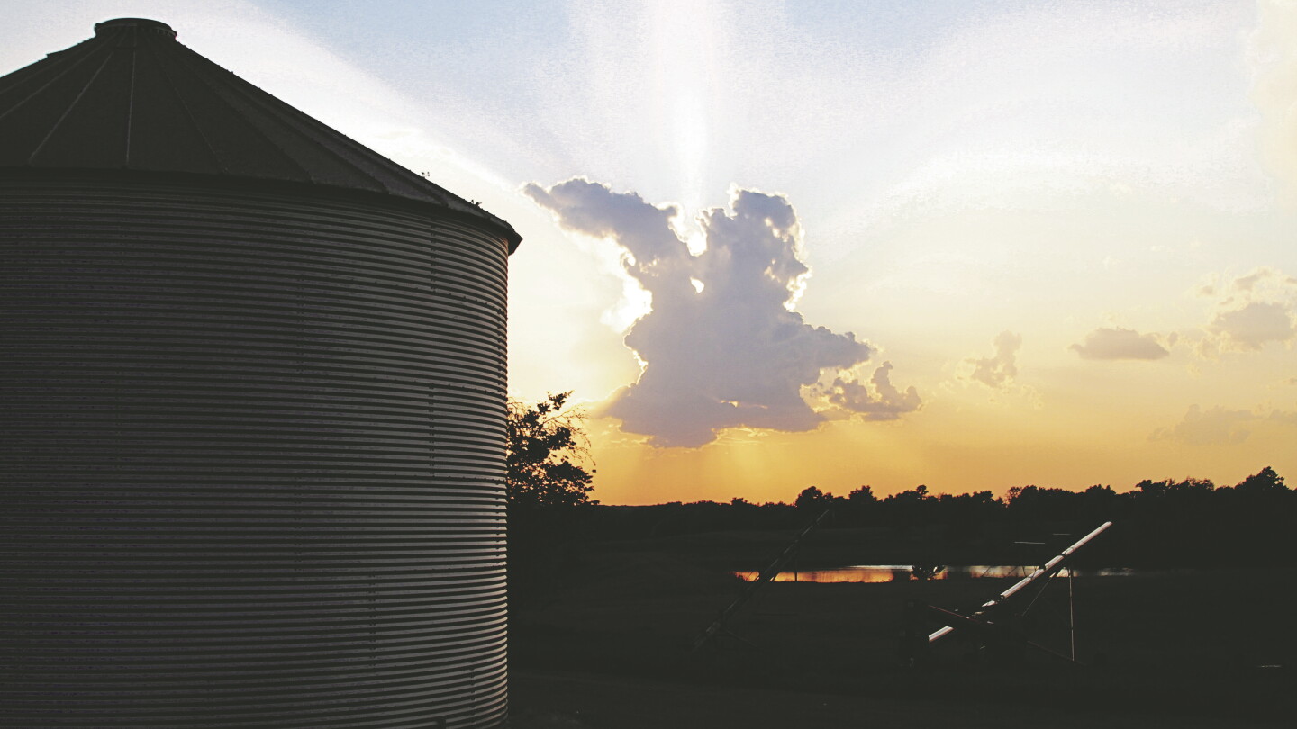 USDA's Grain Stocks Report Shows Farmers Are Holding Onto Old Crop Corn ...