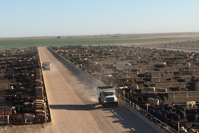 Educational Event Hosted By Balance4ward To Focus On Feedlot Management - Drovers