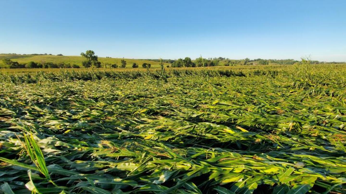 USDA Reveals Farmers Have Received More Than $4 Billion in ERP Payouts ...