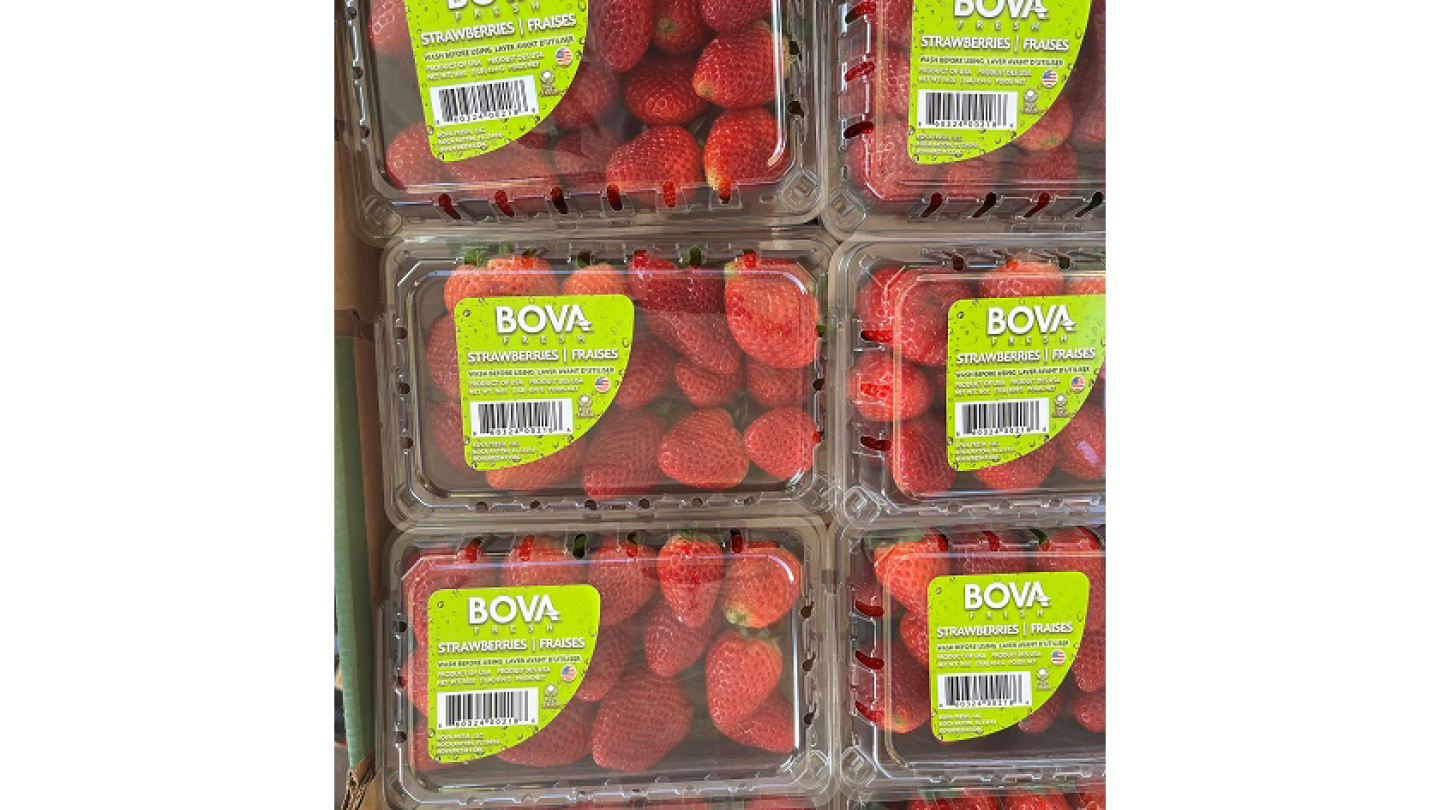 Bova Fresh plans new long-stem label, reports strong crop prospects ...