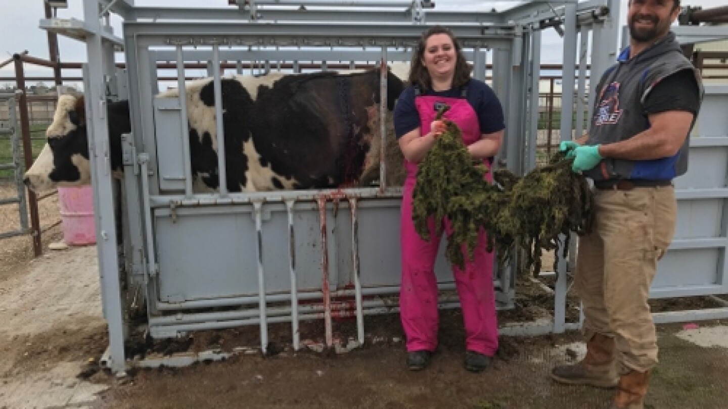 Campus Connection: Response from Dr. Katelin Young