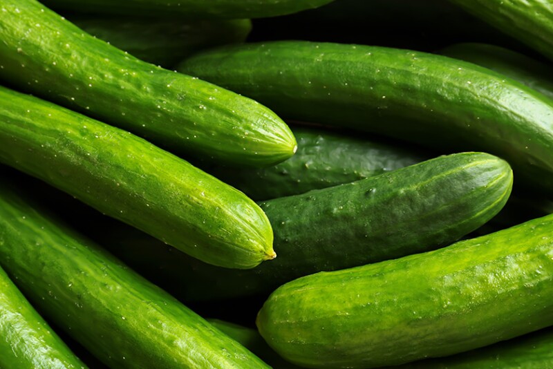 seedless cucumber