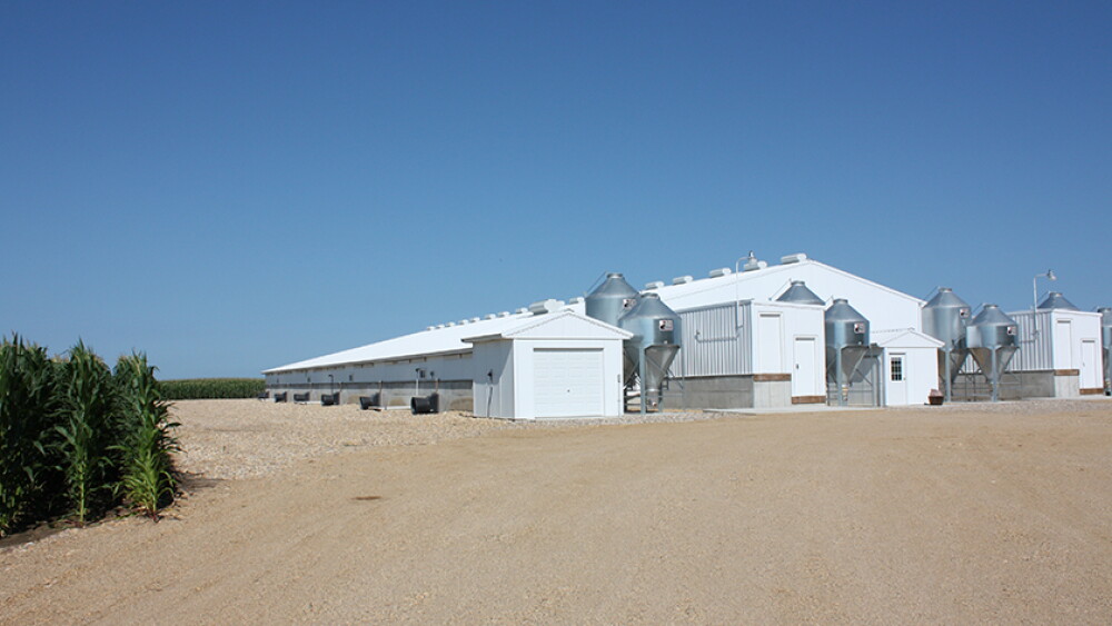 Christensen Farms Celebrates 50 Years of Excellence in Agriculture
