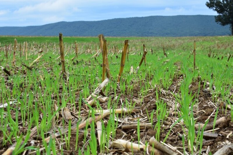 Millborn Seeds Acquires State Line Seed Company - The Scoop