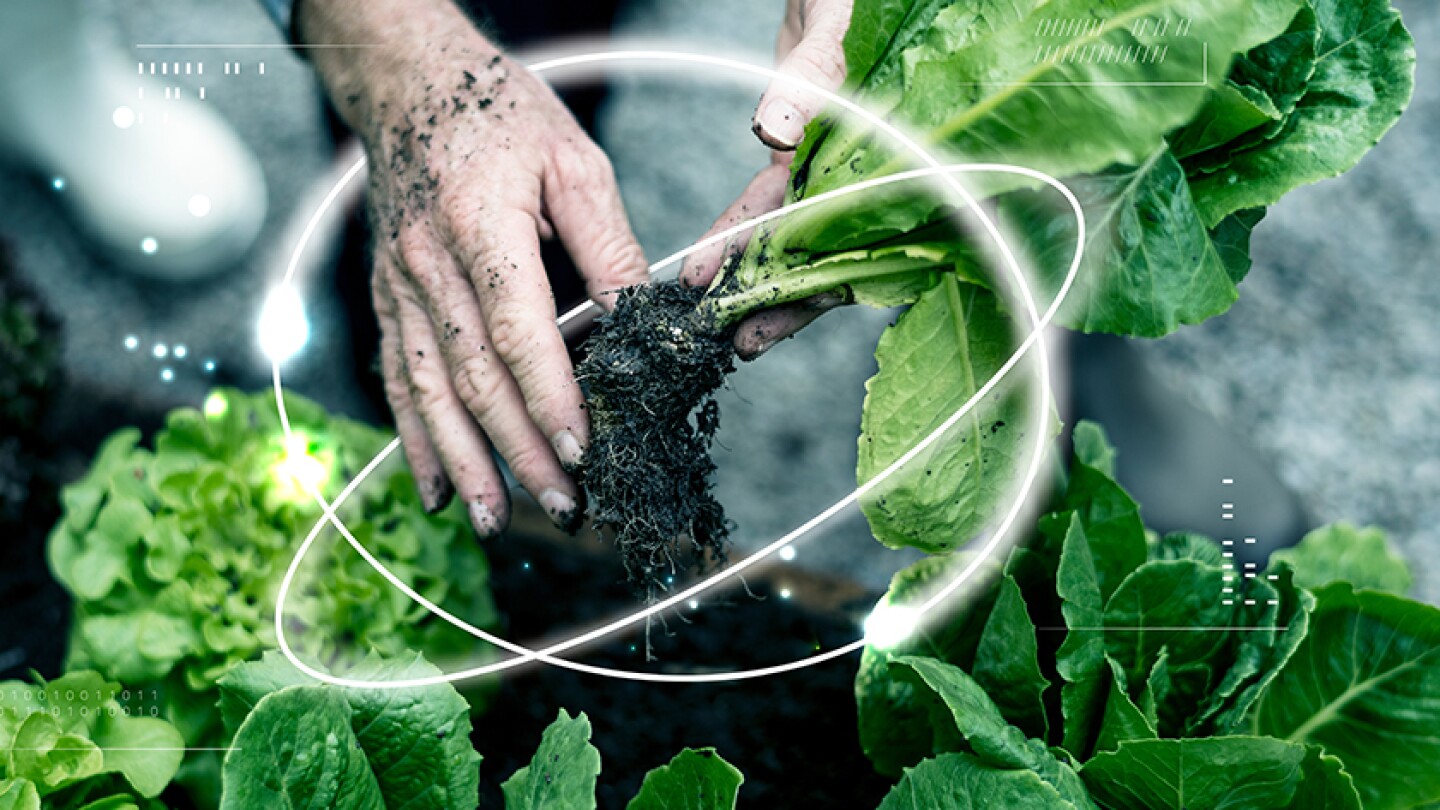 Mineral CEO sees agtech company as tool for growers to improve ...