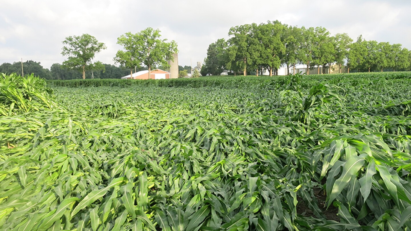 This is the Year to Re-Evaluate Your Crop Insurance - AgWeb