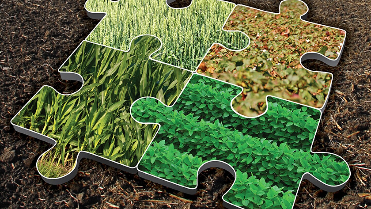 Chip Flory: The 2023 Acreage Puzzle - AgWeb