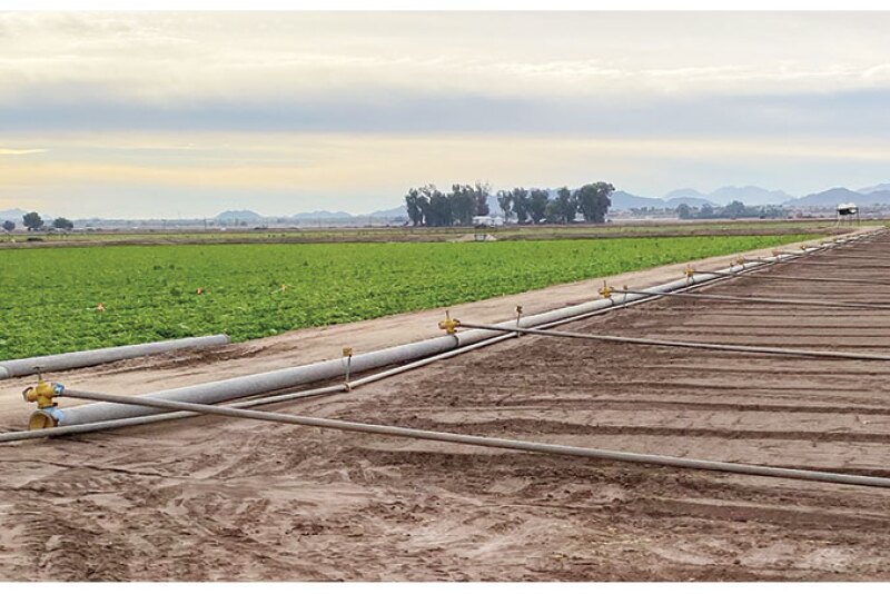 LGMA charts course to achieve food safety goals - The Packer