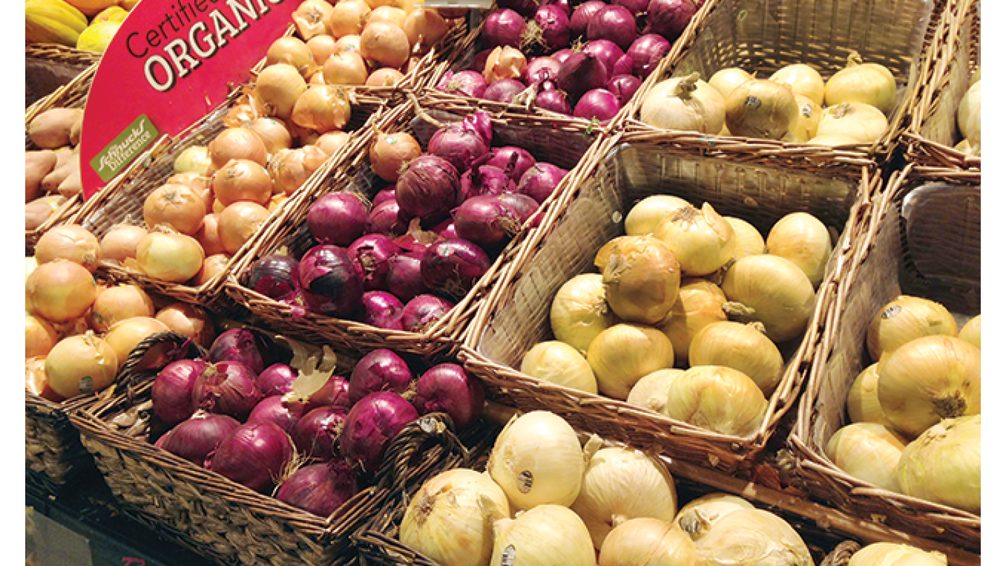 Organic onions hold on in South Texas - The Packer