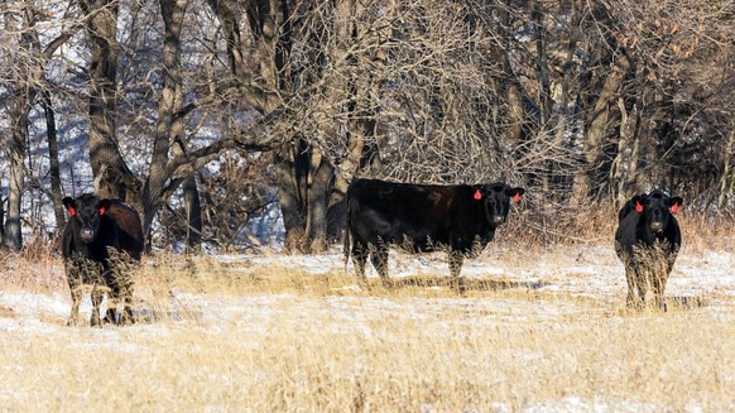 Get Ready for the Next Cold Snap