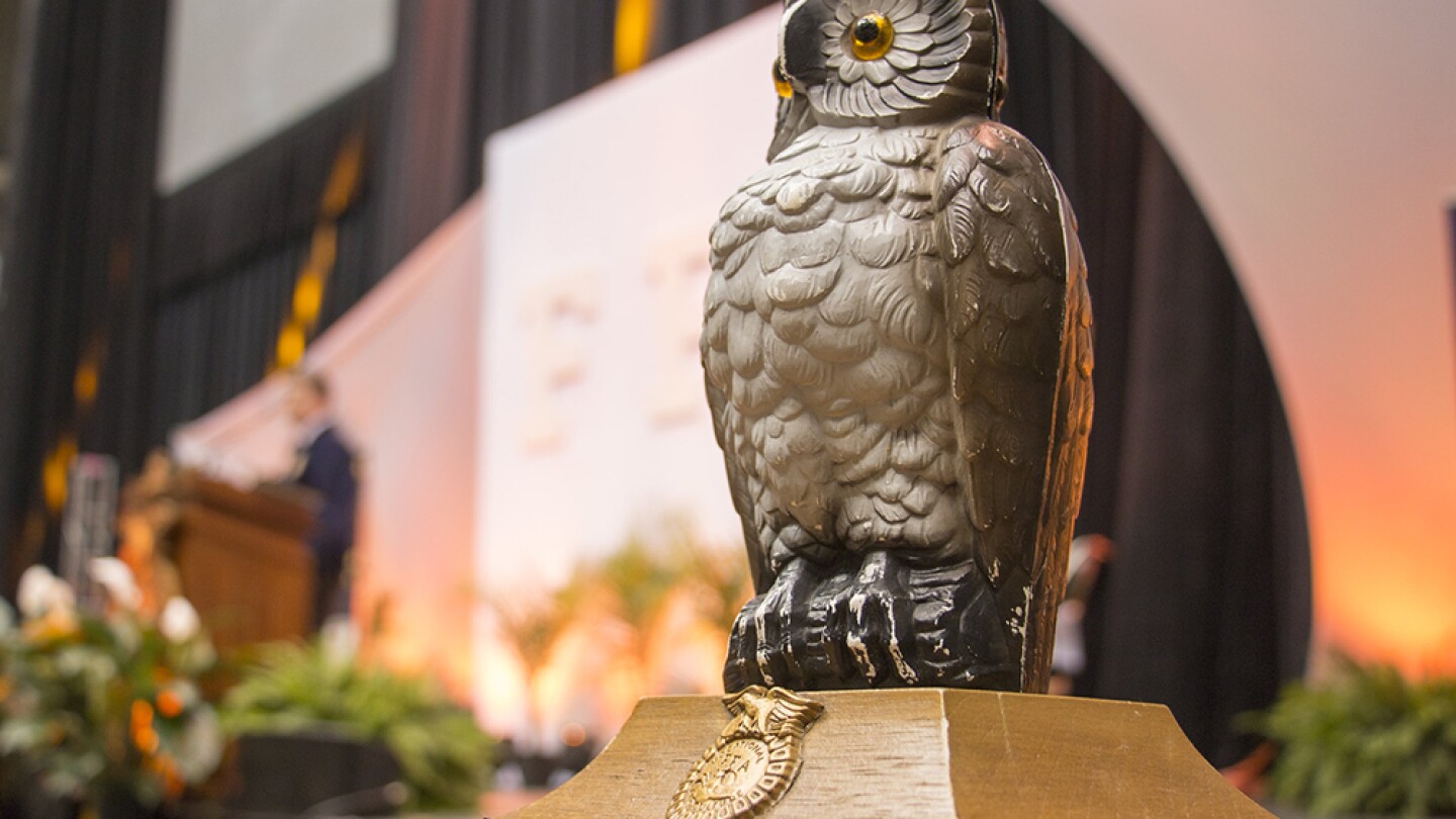 The Story Behind Why the Owl is Emblematic in FFA - AgWeb