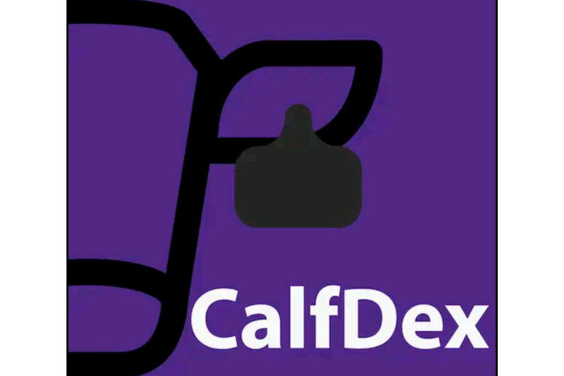 Enhancing Efficiency in Cattle Operations: Kansas State's CalfDex App Simplifies Animal Data ...