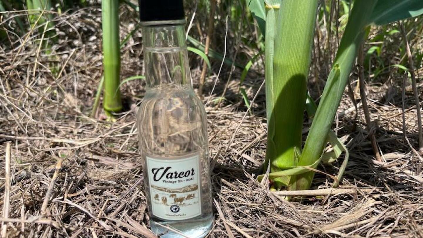 Varcor: From Dairy Waste to Drinking Water - Dairy Herd