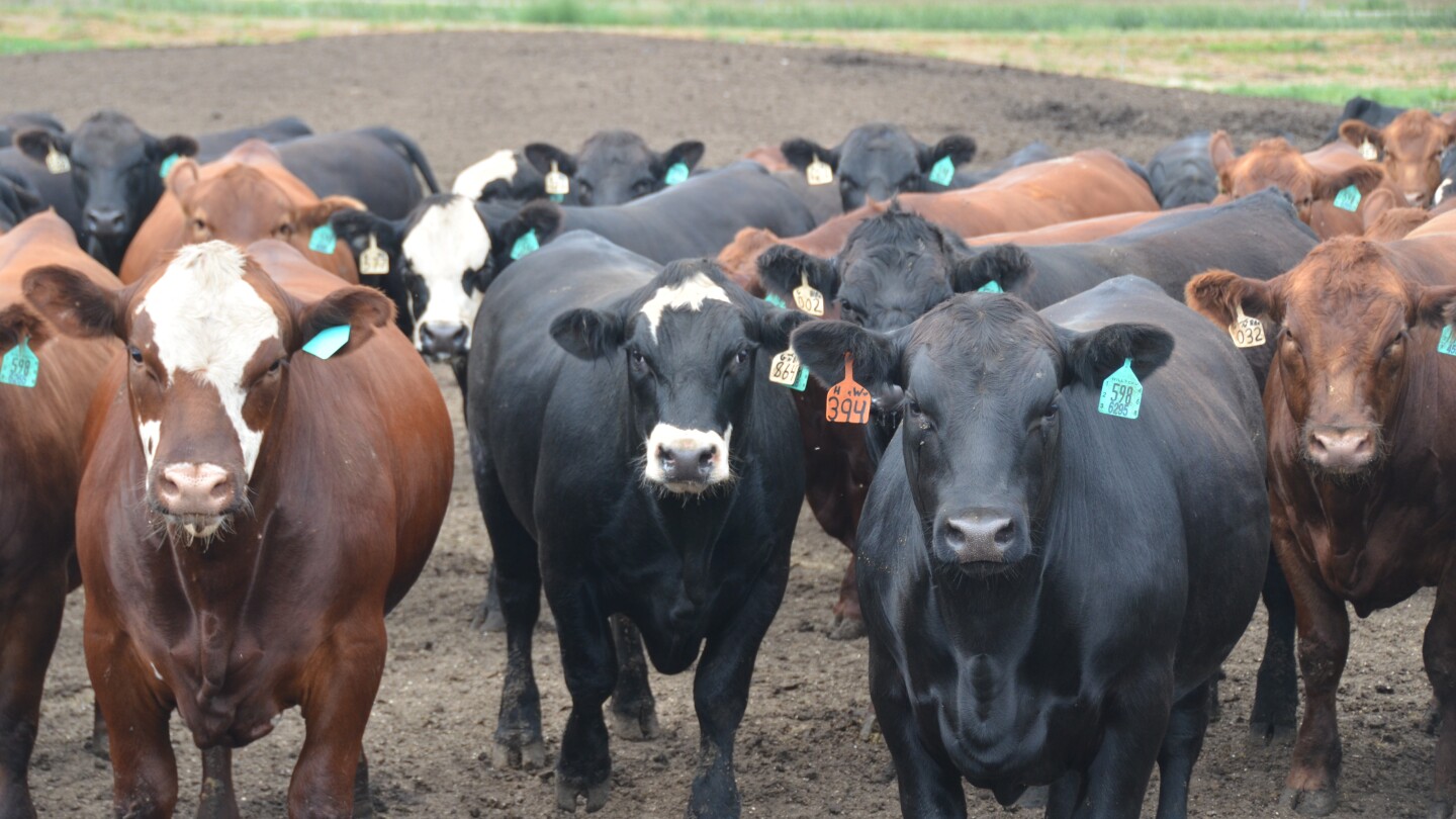 FERA Announces Sales and Marketing Leaders - Drovers