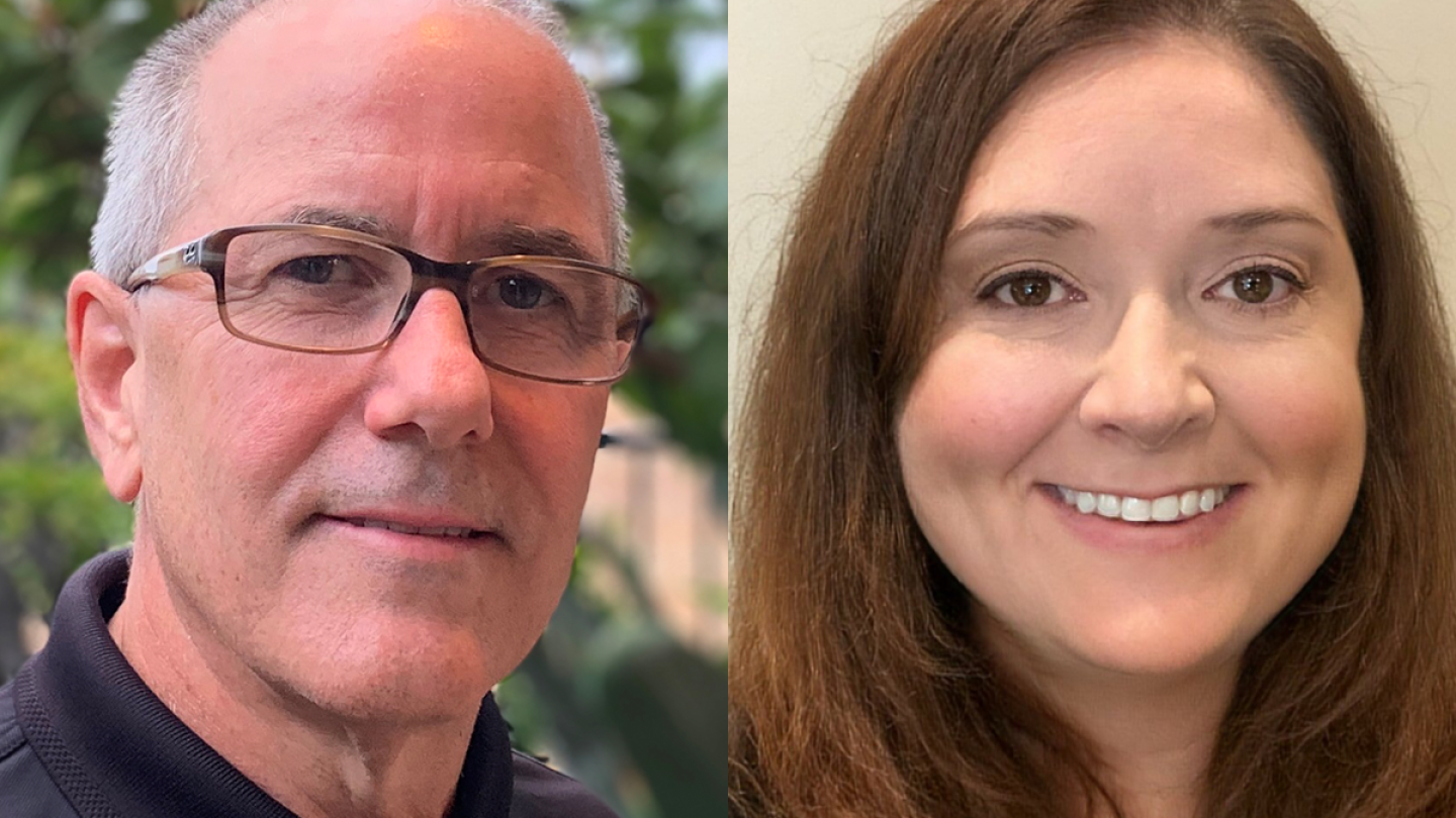 California Avocado Commission introduces revamped marketing approach ...