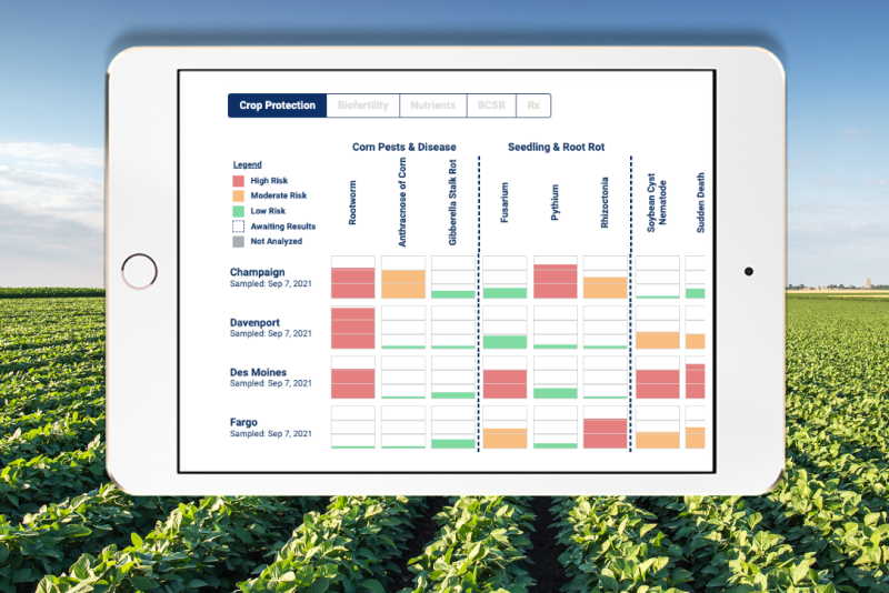Pattern Ag Expands Its Analytics to Include Foliar Diseases - AgWeb