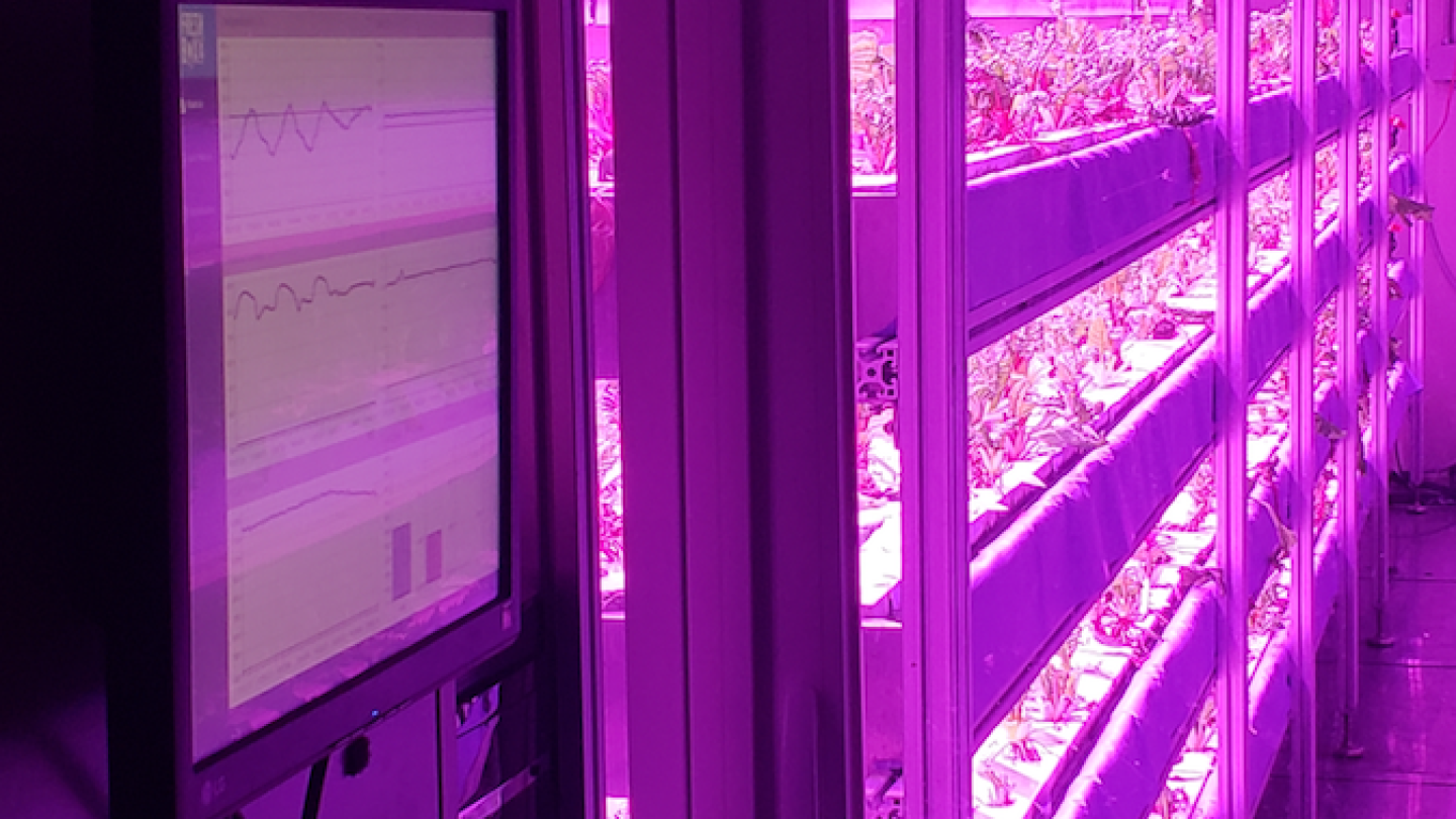 Crop One Holdings wins indoor farming award - The Packer
