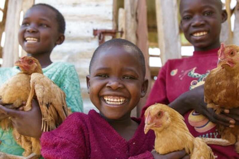 animal activist groups