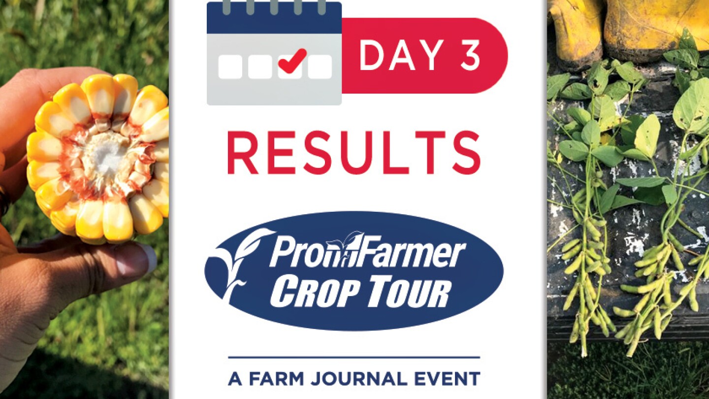 From The Rows | Aug. 23, 2023 — Chip Flory (West)