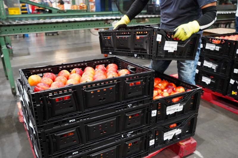 Multiple factors point to continued growth of reusable packaging ...