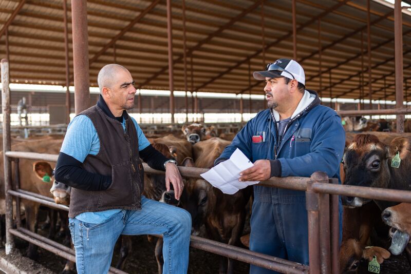 The Power of You: Telling Someone What They Want to Hear, What They ...