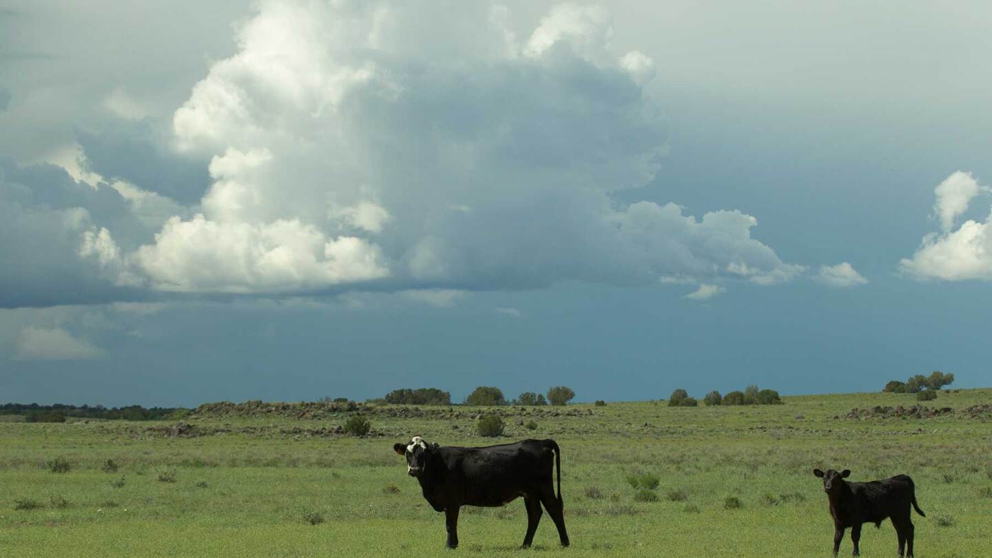 Kenzy: OFF Act Sets New Standards for Government - Drovers