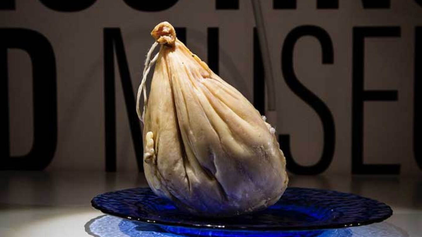 Disgusting Food Museum Includes Midwest Favorites - The Packer