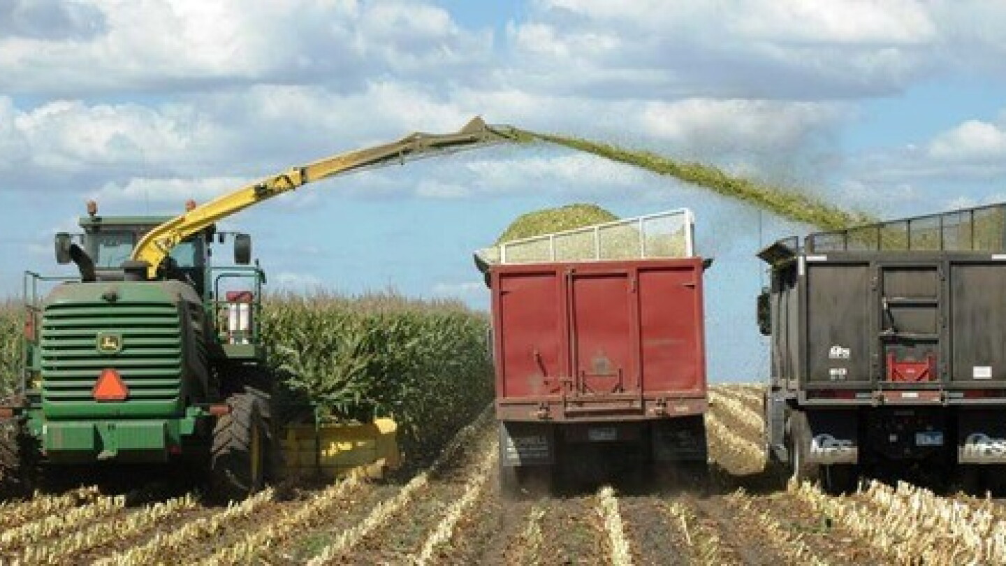 Corn Silage Harvest: Want More Money in the Bunker? - Dairy Herd