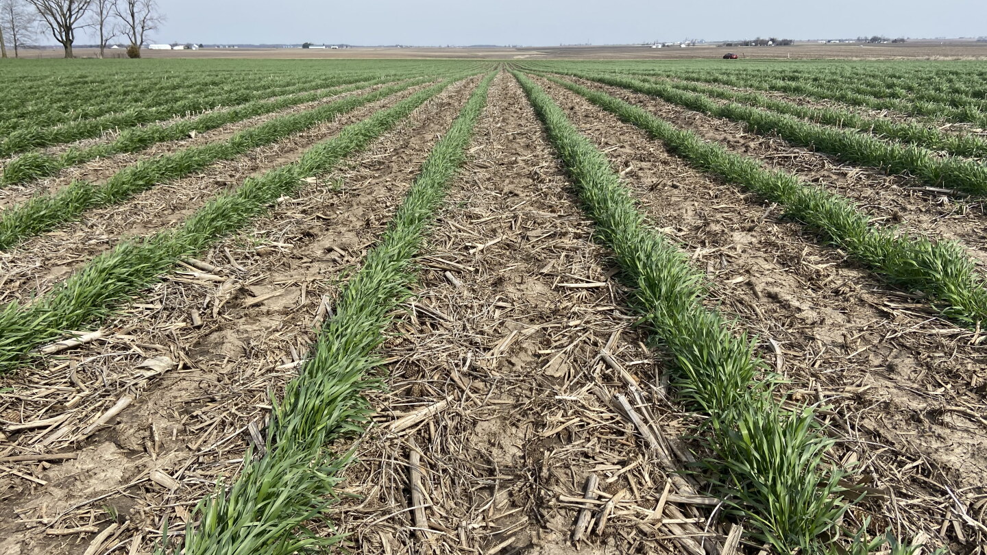 Learning by Doing: Find out how cover crops, cost share practices can ...