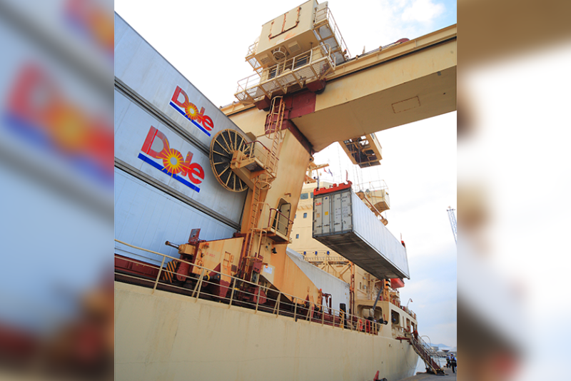 Dole boosts shipping capacity for tropical fruits - The Packer