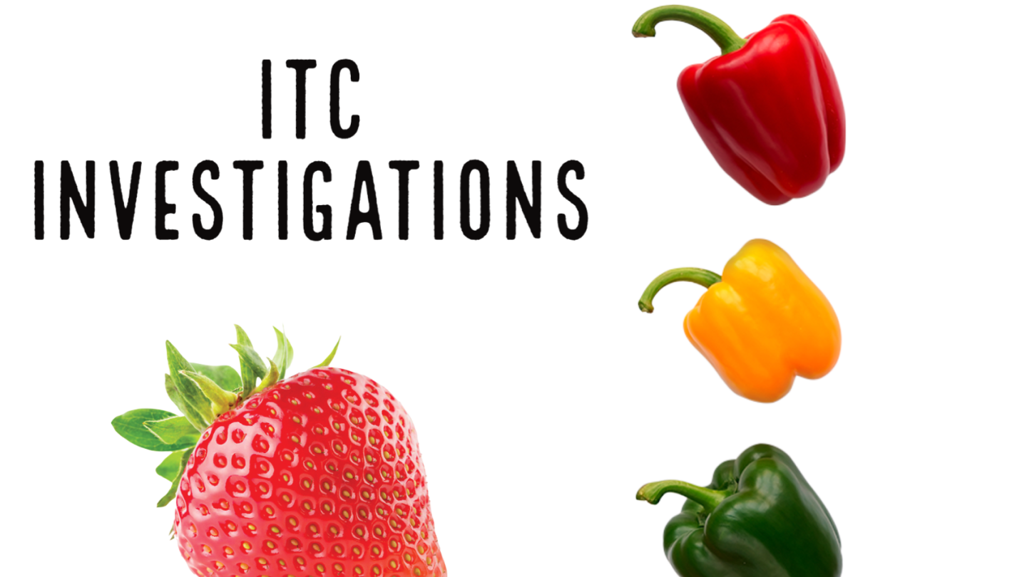 Florida ag commissioner comments on strawberry, bell pepper imports ...