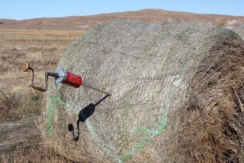 Ensuring Quality and Nutrition: Three Easy Steps For Forage Analysis ...