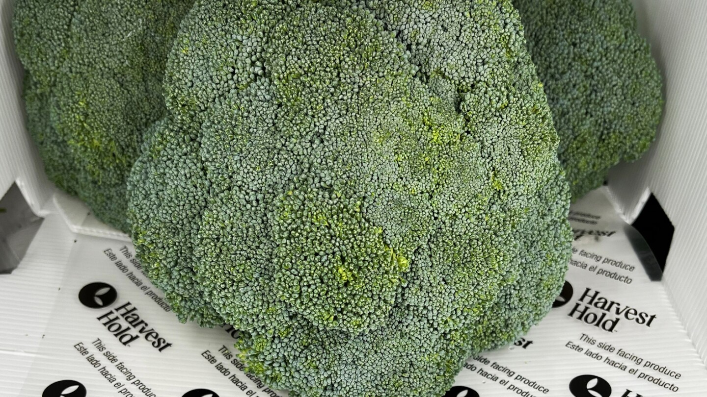 HarvestHold Fresh approved by Canada's PMRA - The Packer - Fruit and ...