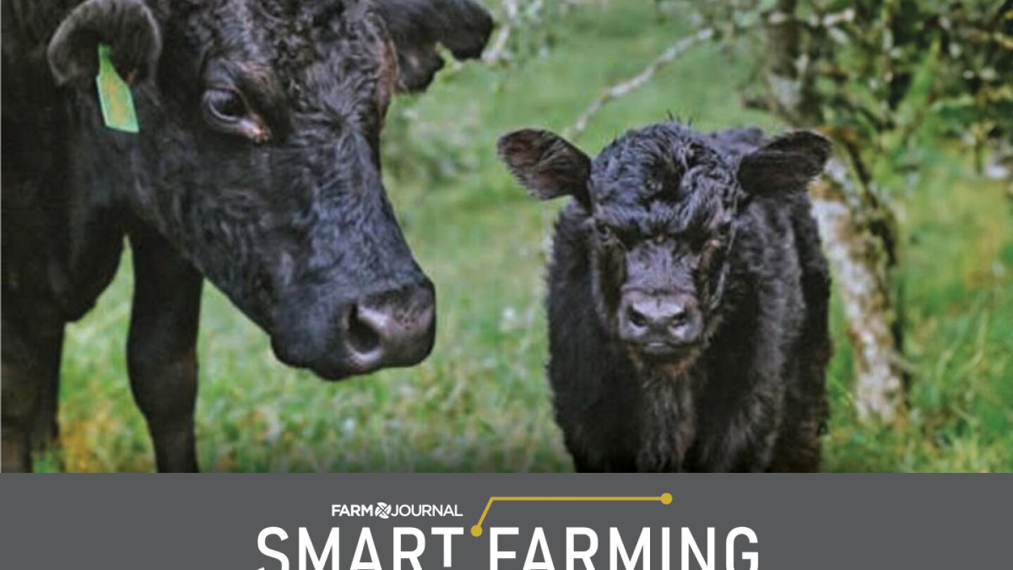 Anova Biosciences Unveils Revolutionary Promogen™ Diagnostic Test - Drovers