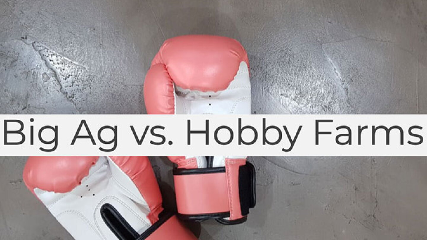 When the Title Match is Big Ag vs. Hobby Farms, PETA Wins, Page 2 - The ...