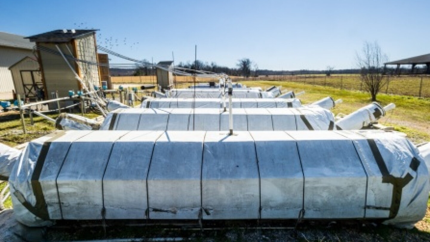 USDA to Spend $1 Million Looking for Antibiotic Bugs in Cow Manure ...