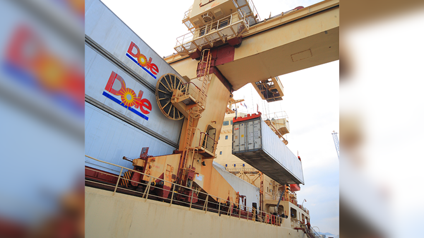 Dole boosts shipping capacity for tropical fruits - The Packer