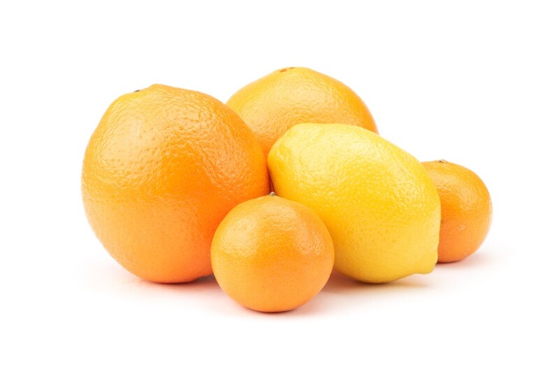 Citrus output headed higher in Chile - The Packer - Fruit and Vegetable ...